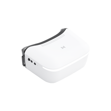 Walksnail Avatar HD Goggles L – CADDX FPV