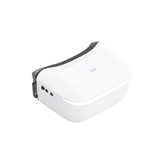 Walksnail Avatar HD Goggles L – CADDX FPV